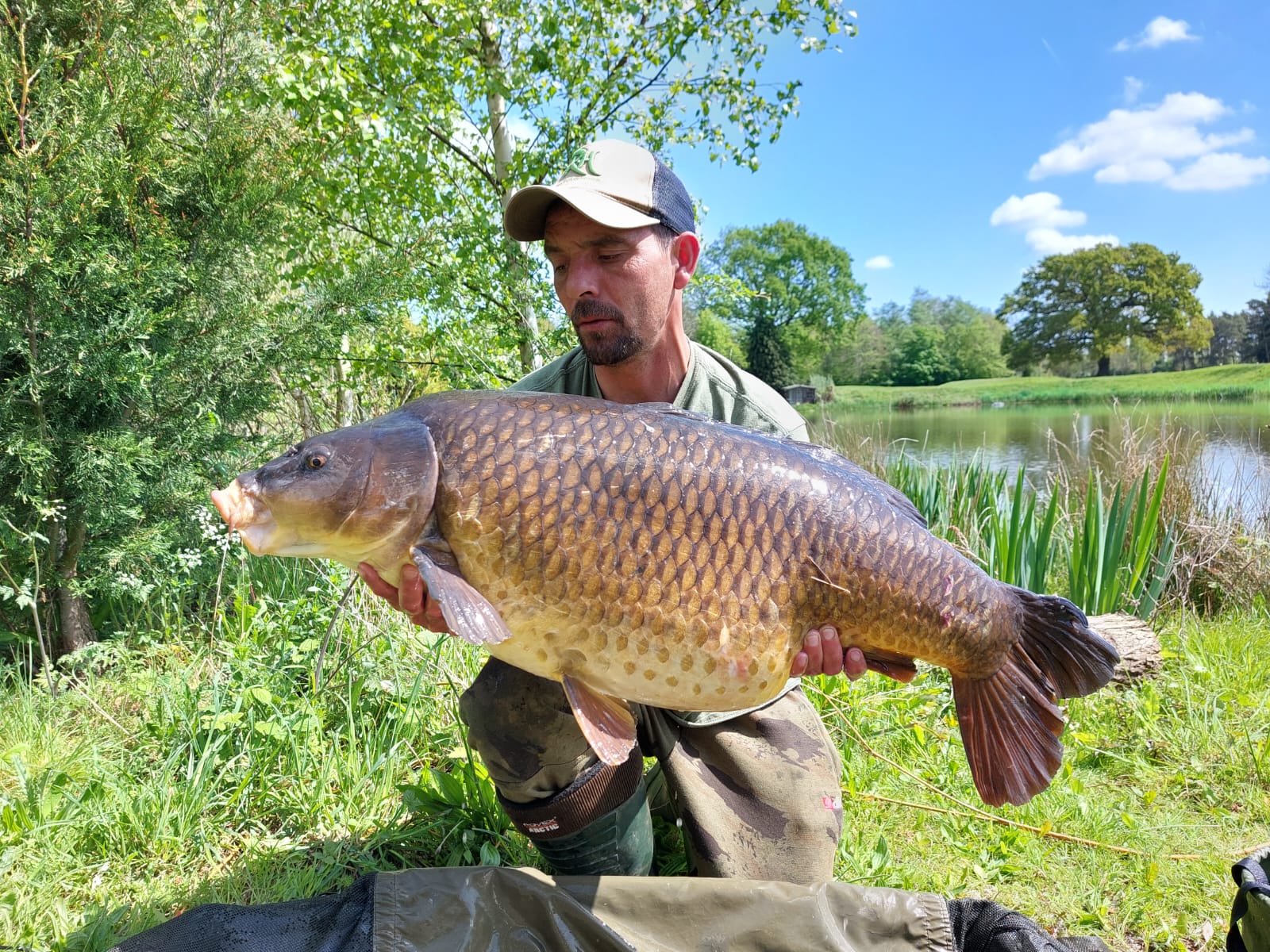 New pb | Total Carp